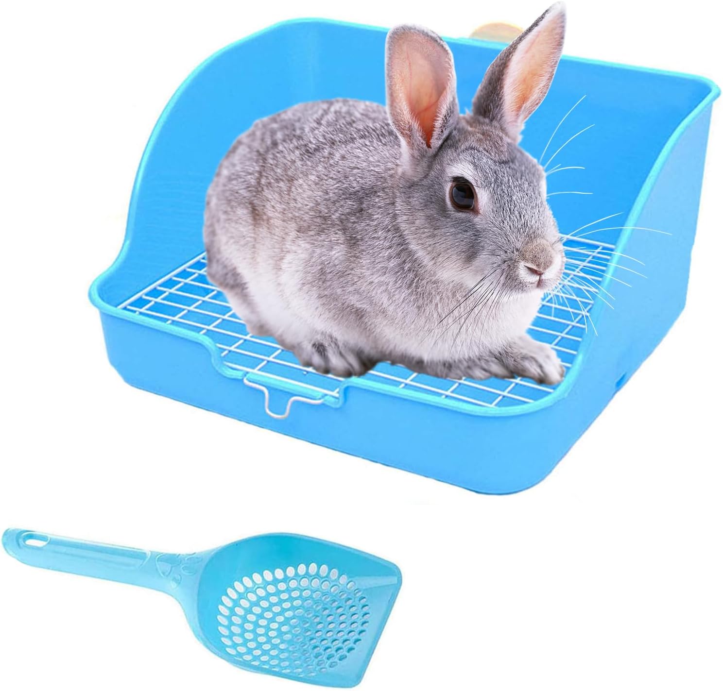 Amazon.com : Hamiledyi Small Animal Rabbit Litter Toilet,Plastic Square ...