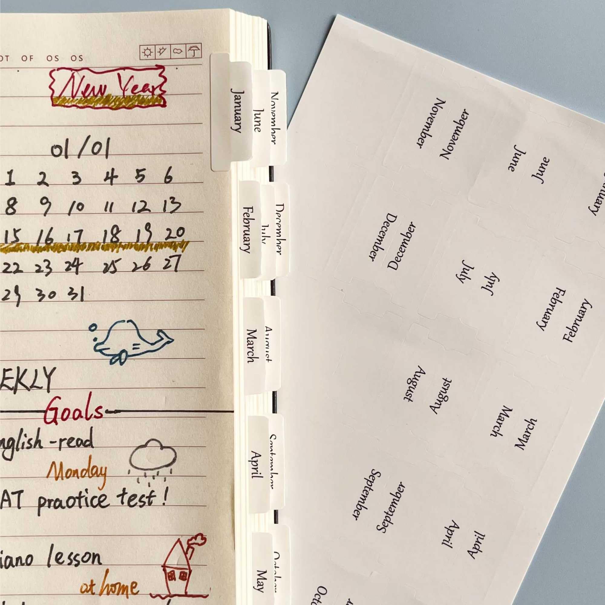 Amazon.com : 48 Pieces Colorful Monthly Adhesive Tabs, 2 Sheets Monthly ...