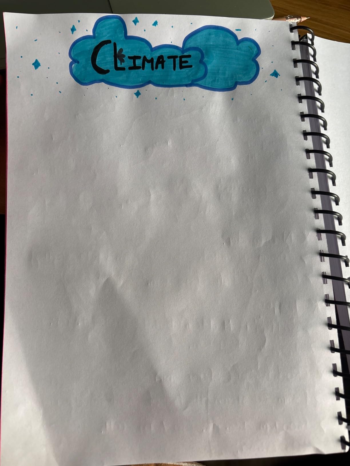 Surbhi SPIRAL NOTEBOOK | Ragister A4 size 900 Pages(300 pages each ...