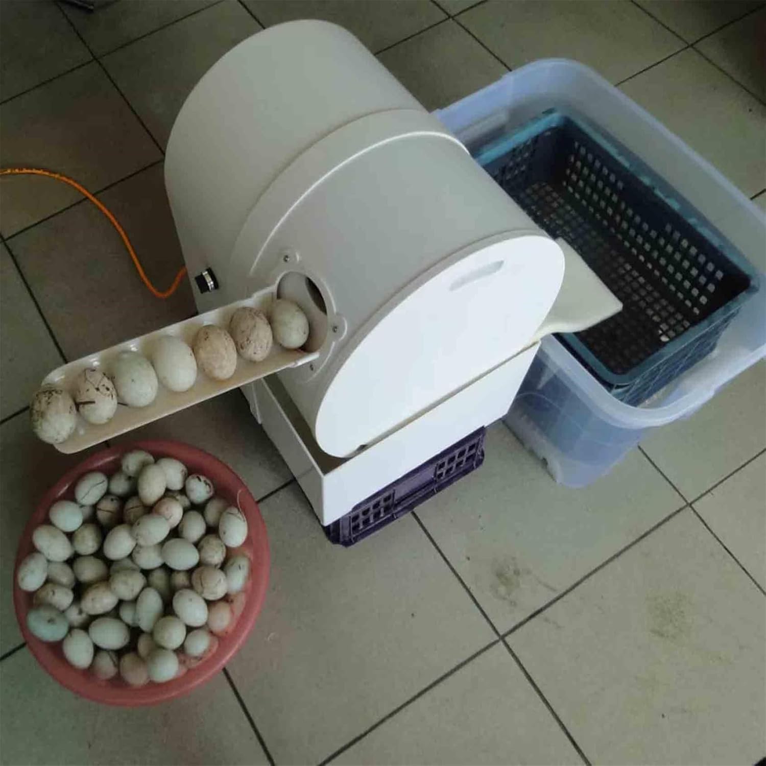 Amazon.com : NYMFEA Automatic Egg Washer Machine, Electric Egg Washing ...