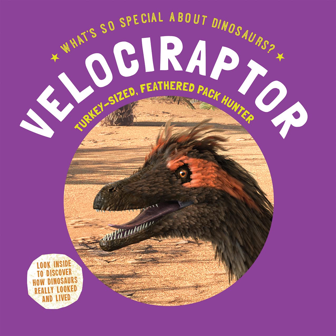 Velociraptor: Turkey-Sized, Feathered Pack Hunter (What's So Special ...