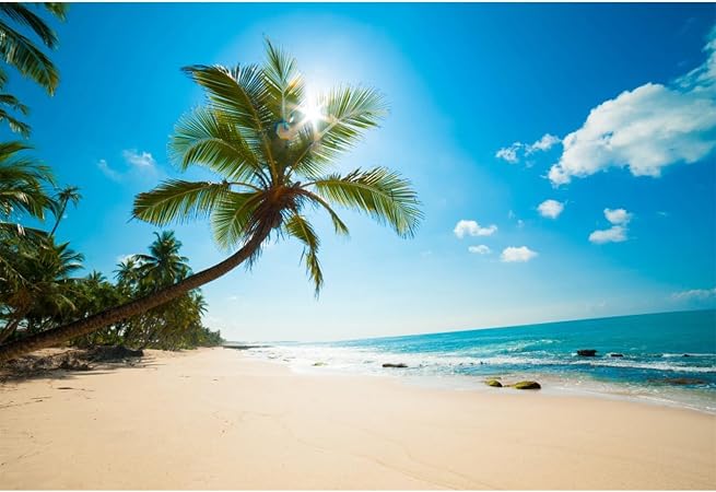 YongFoto 3x2,5m Vinyle Toile de Fond Plage Tableau Paysage Mer Ciel ...