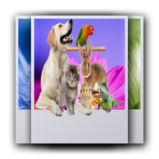 Animal Backgrounds - App on Amazon Appstore