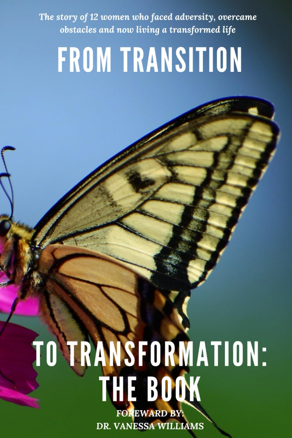 From Transition to Transformation:The Book: Williams-Cook, Dr. Vanessa ...