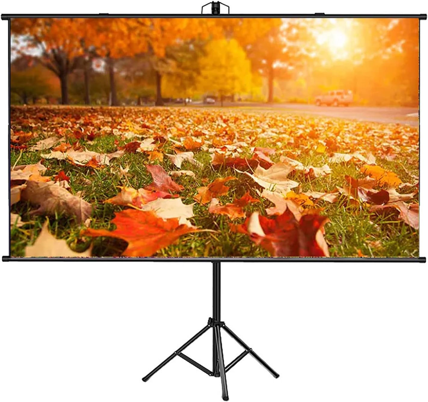 Amazon.com: TINOWN Projector Screen, Freestanding, Floor Standing ...