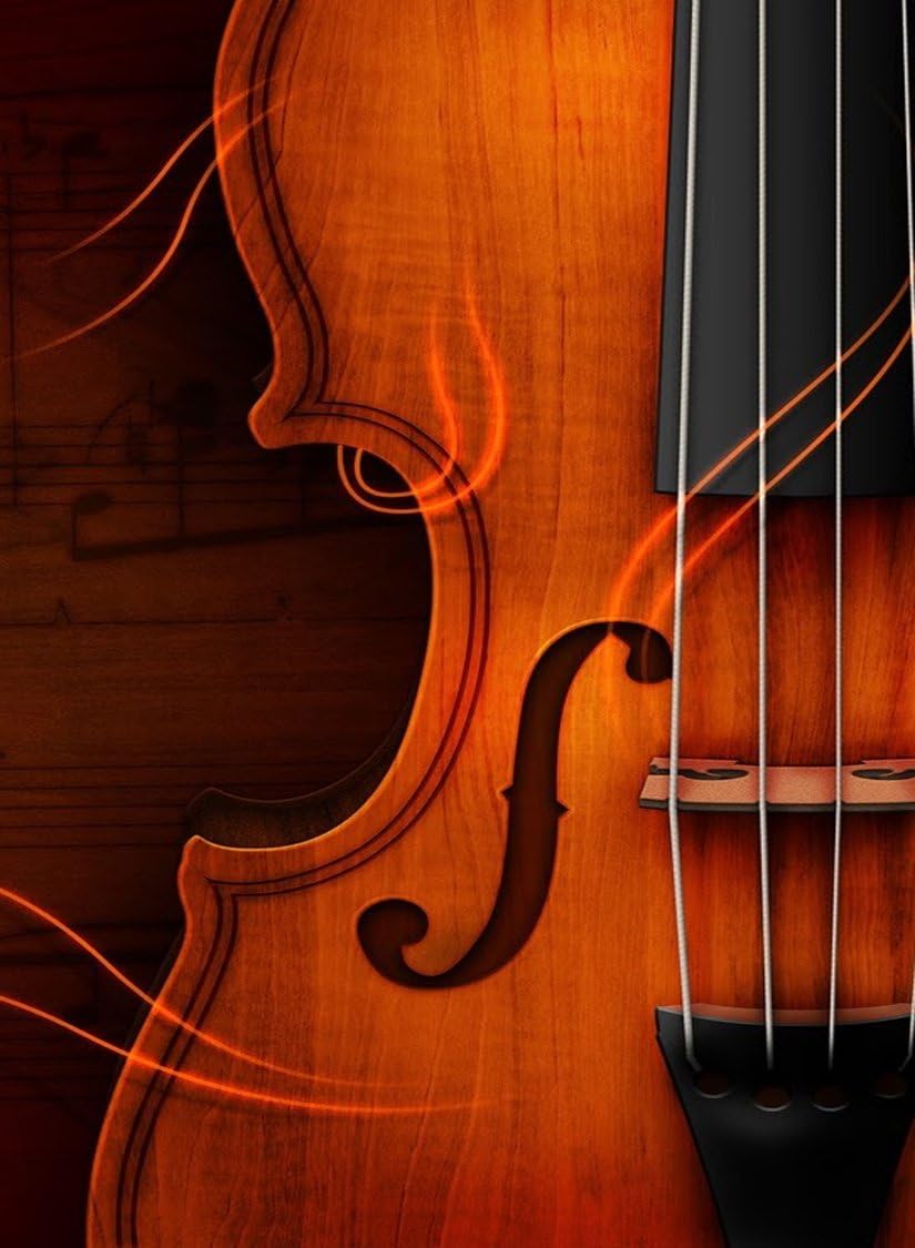 Amazon.com: Rectangle Refrigerator Magnet - Violin Stringed Orchestra ...