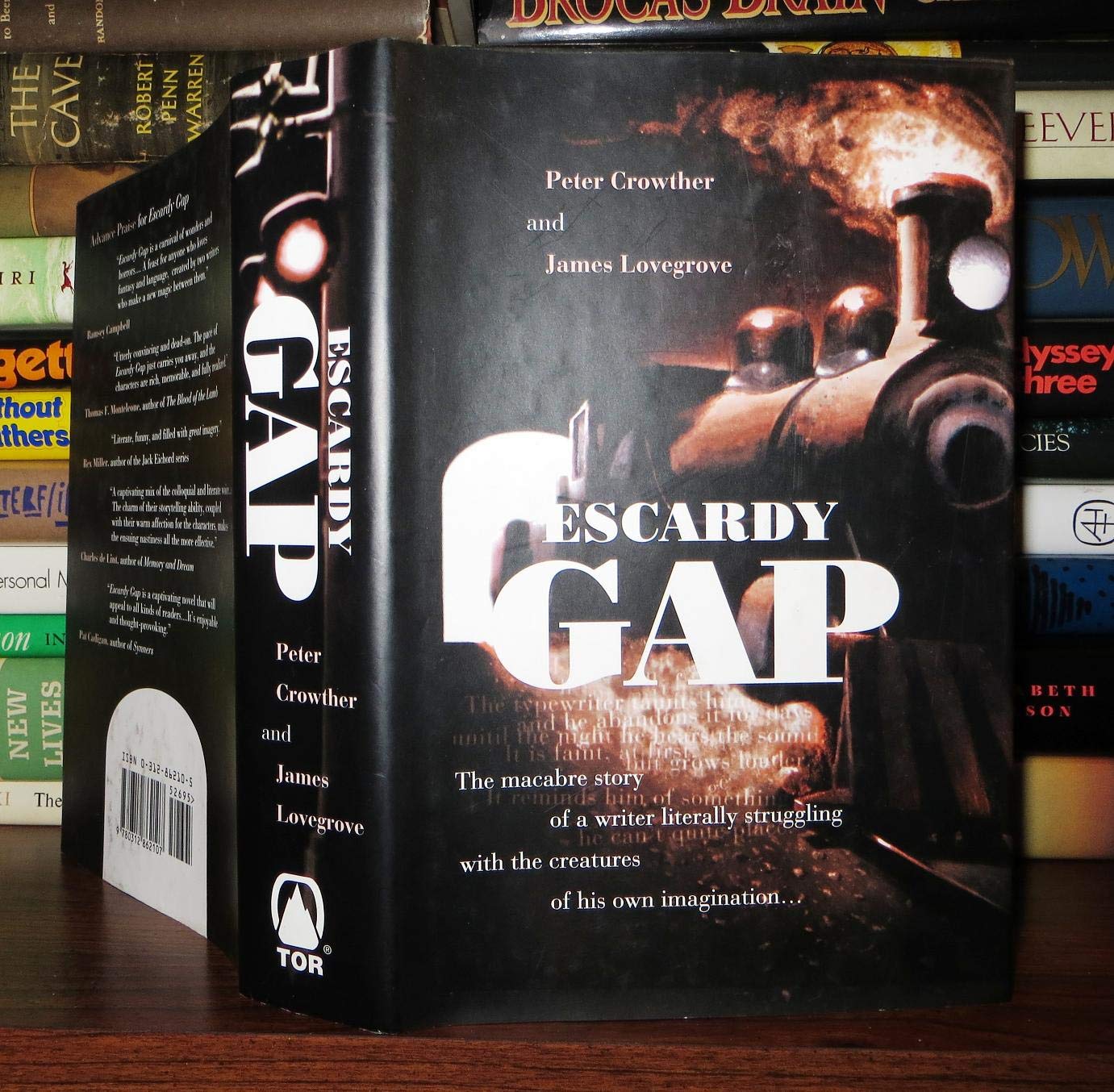 Escardy Gap: Crowther, Peter, Lovegrove, James: 9780312862107: Amazon ...