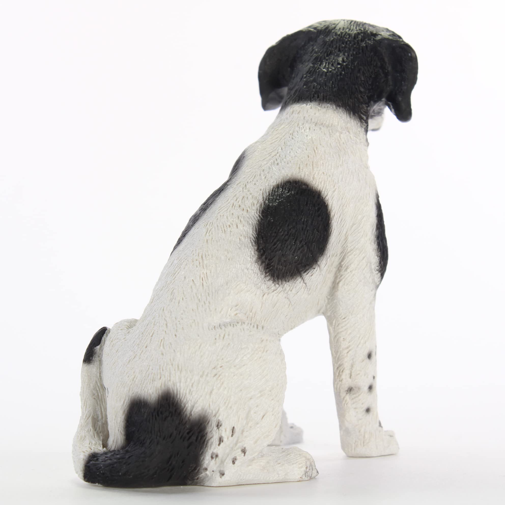 Black And White Pointer Dog