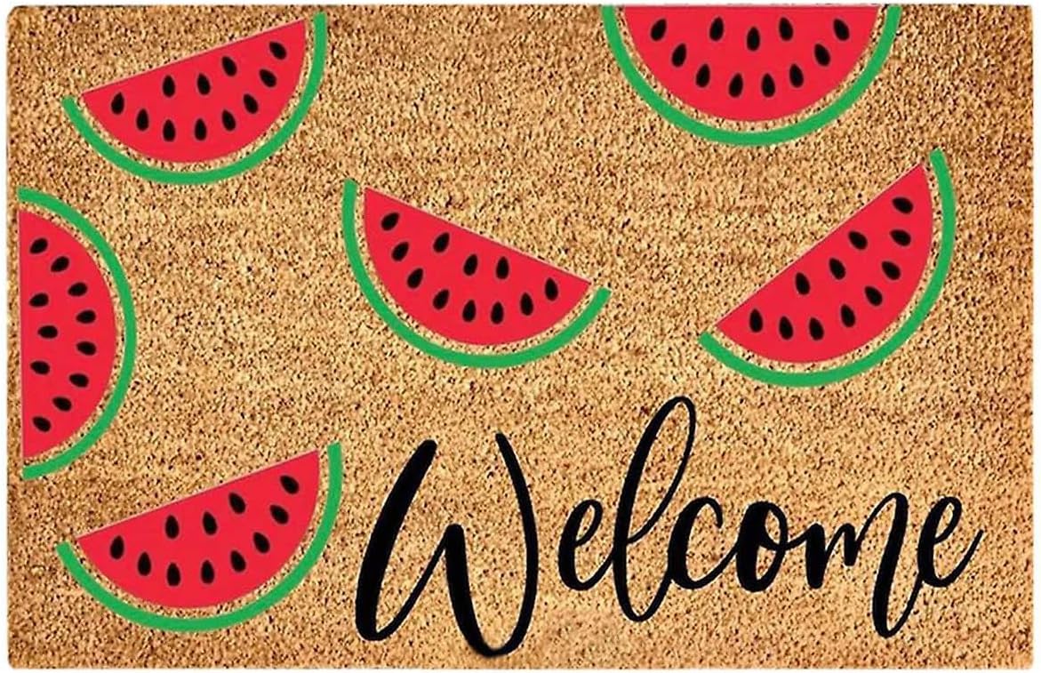 Amazon.com: Doormat Welcome Watermelon Fruit Funny Entryway Rugs Indoor ...