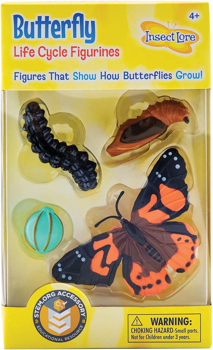 Insect Lore Butterfly Learning Toy - 4 Piece Set Shows Metamorphasis of ...