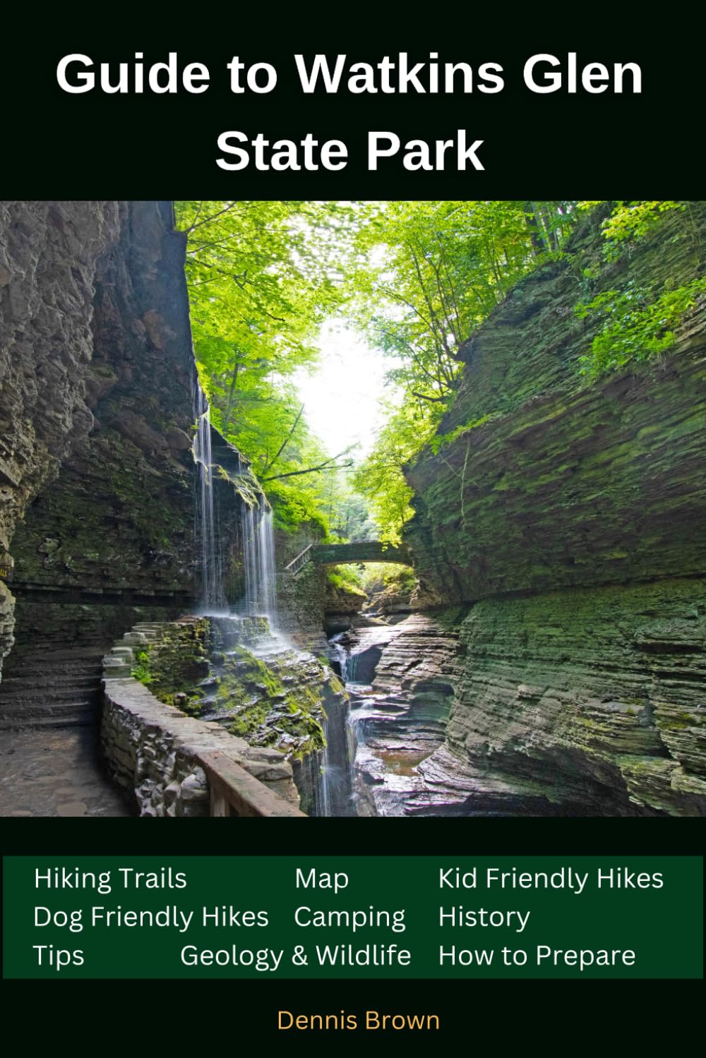 Watkins Glen State Park Map OSI Project Lays Groundwork For Makeover