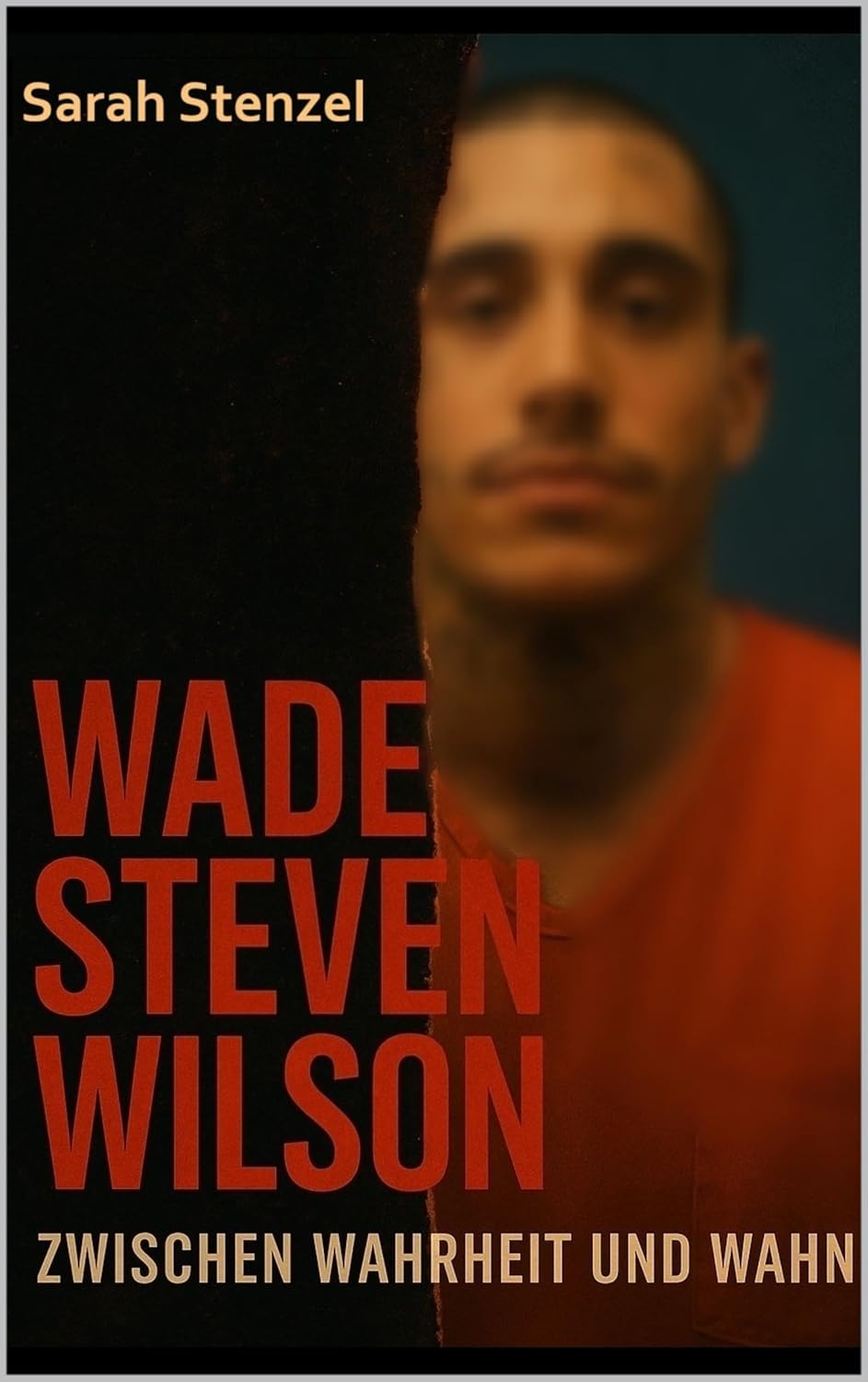 Wade Steven Wilson: Zwischen Wahrheit und Wahn (German Edition) eBook : Stenzel, Sarah: Amazon ...