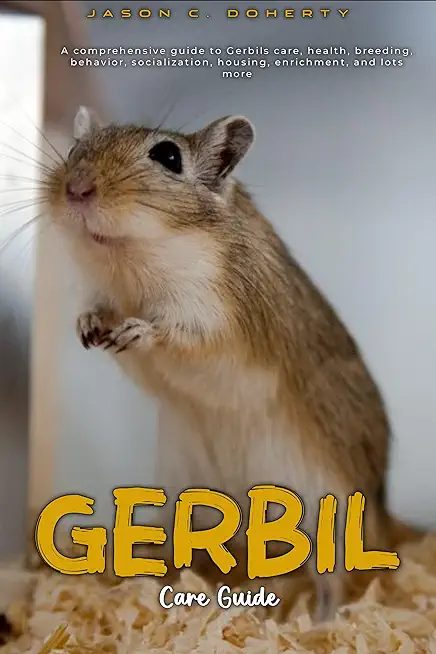 Understanding Gerbil Behavior: What You Need To Know | PetShun
