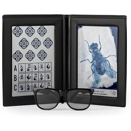 Amazon.com: Stereo Butterfly Depth Perception Stereopsis Test ...