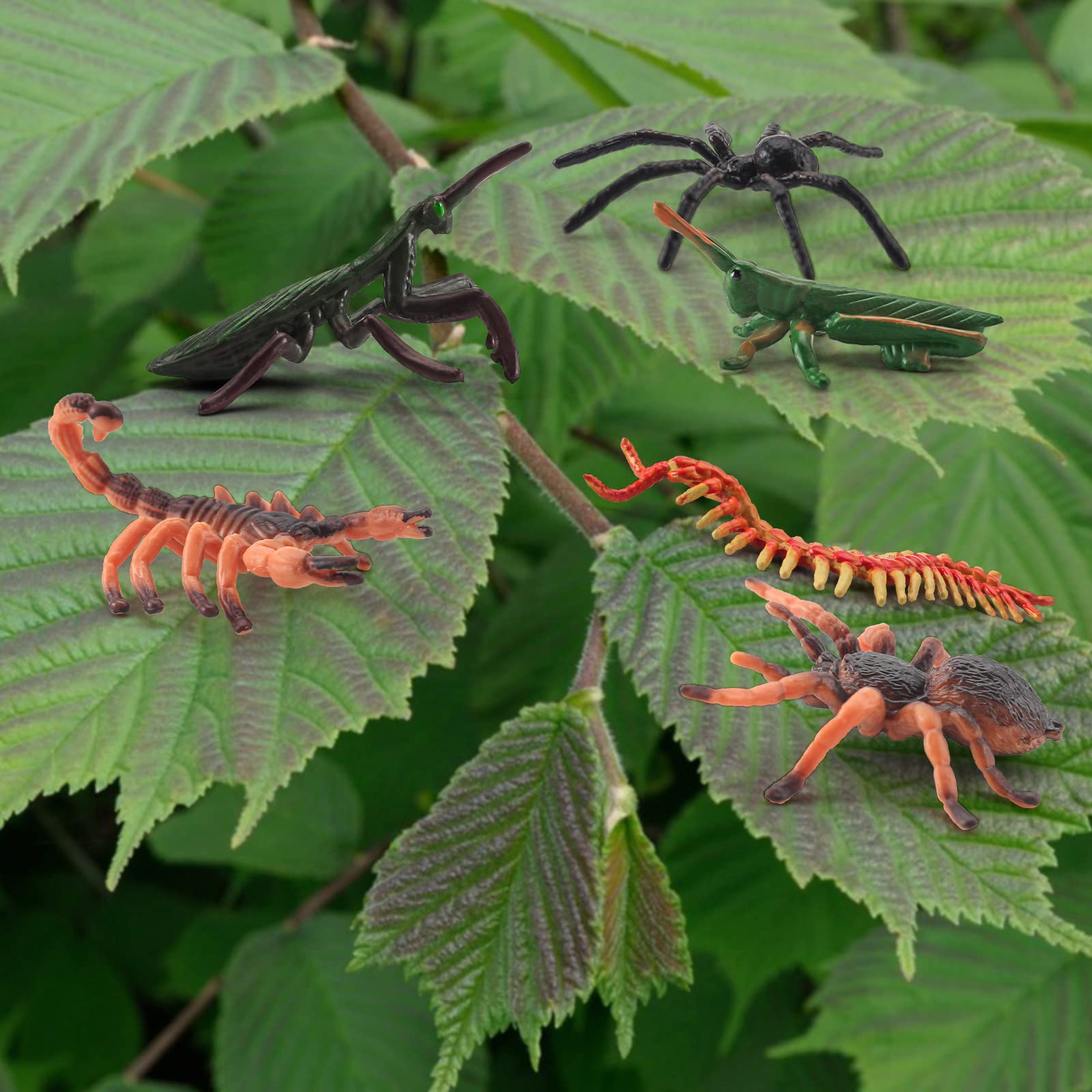 Snapklik.com : WONWONTOYS Insects Figures Toys - Figurines Set