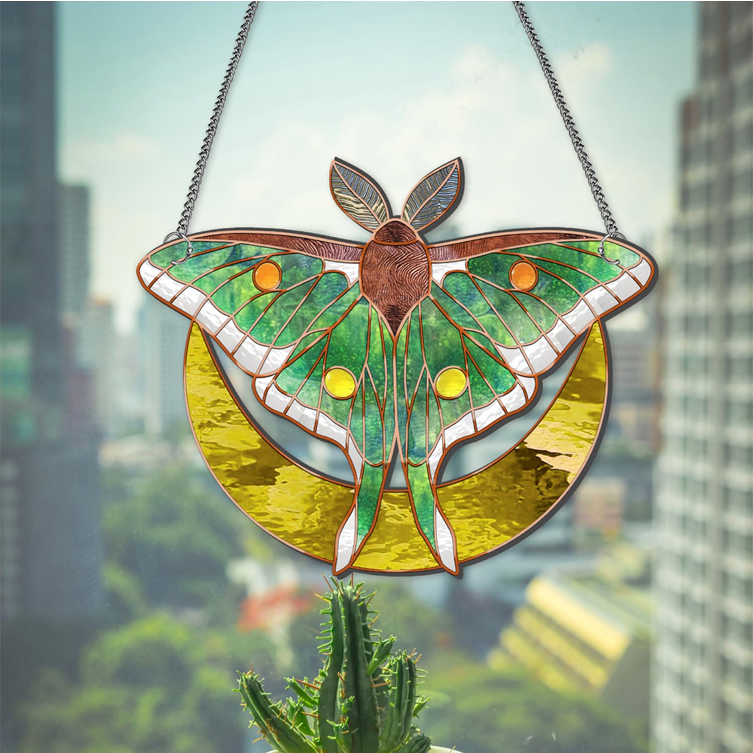 Glass Moth Real Death Head Moth Glass Dome Decor Taxidermy Insect ...