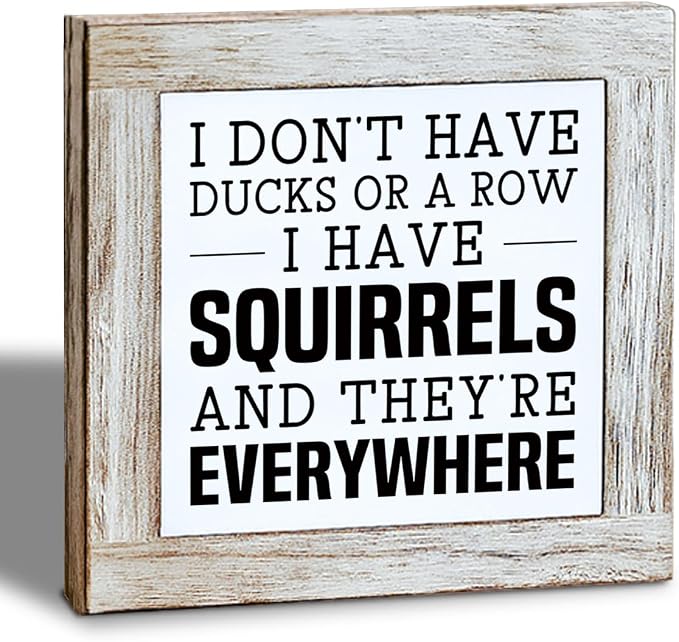 Amazon.com: I Don’t Have Ducks or a Row I Have Squirrels and They’re ...