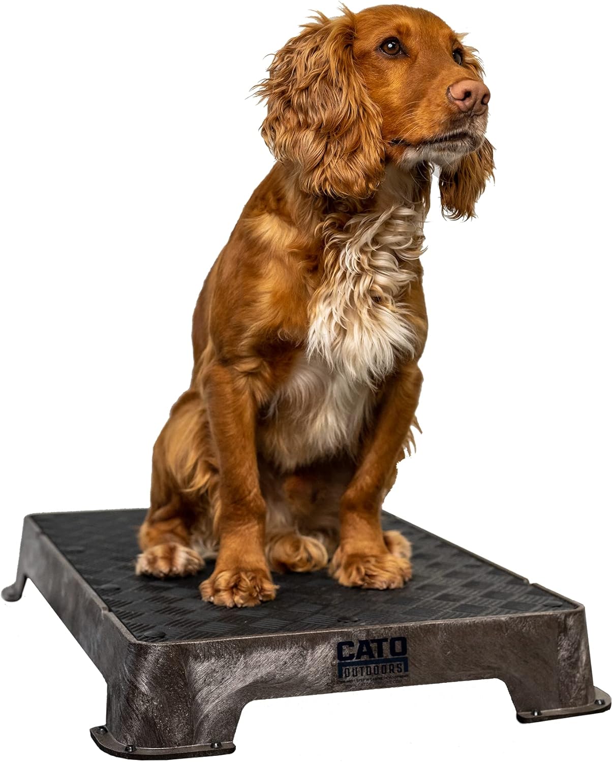 Pet Supplies : Cato Board - Dog Training Platform (Brown, Rubber ...