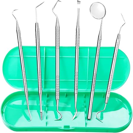 Amazon.com: Dental Tools, 10 Pack Professional Plaque Remover Teeth ...
