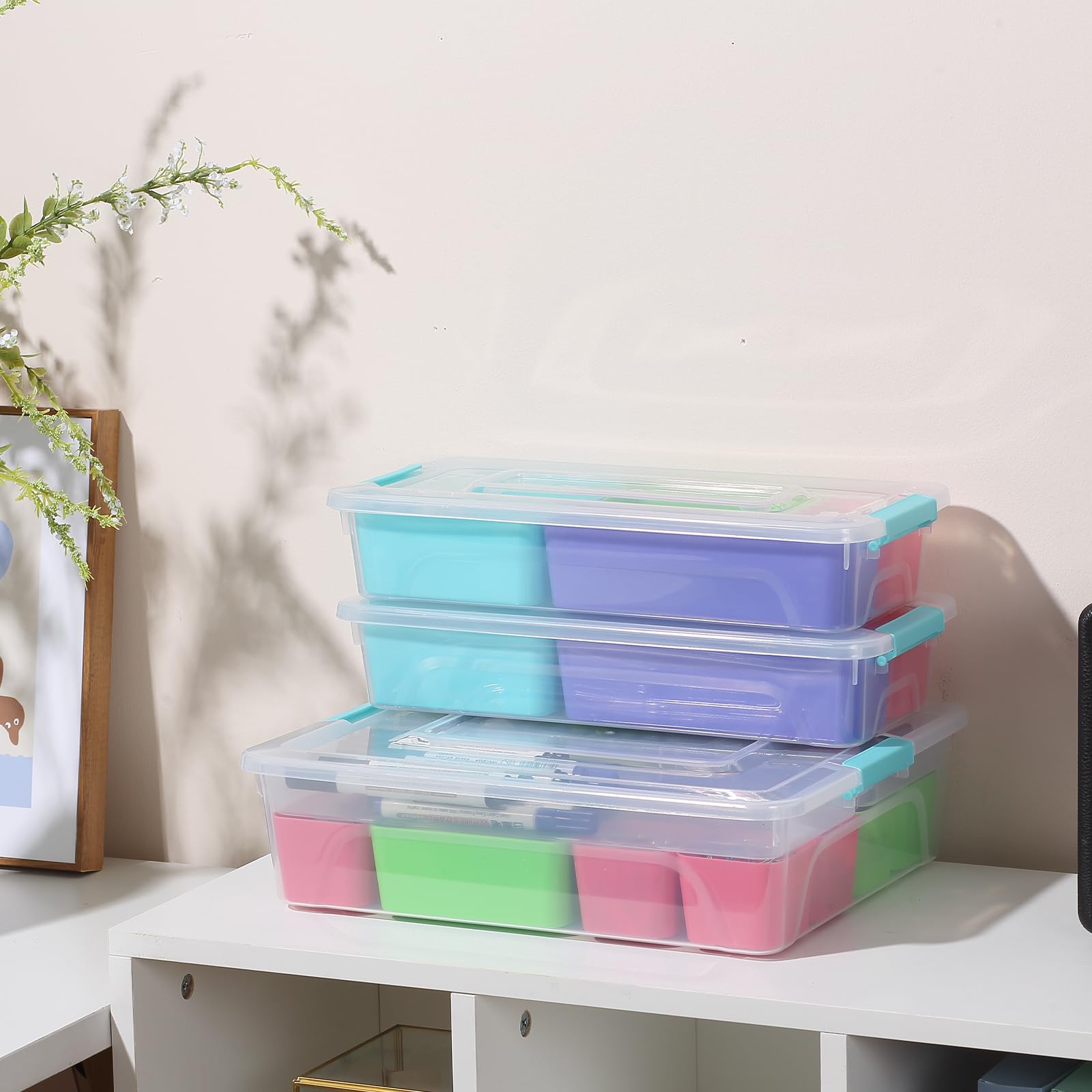 Snapklik.com : Novelinks Clear Plastic Dividing Storage Box