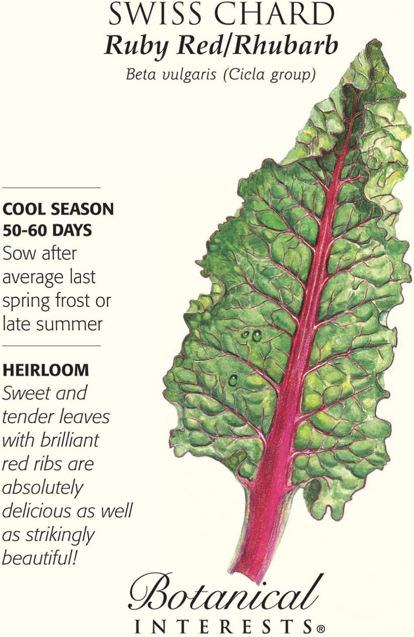 Amazon.com : Swiss Chard Ruby Red Seed : Vegetable Plants : Patio, Lawn ...