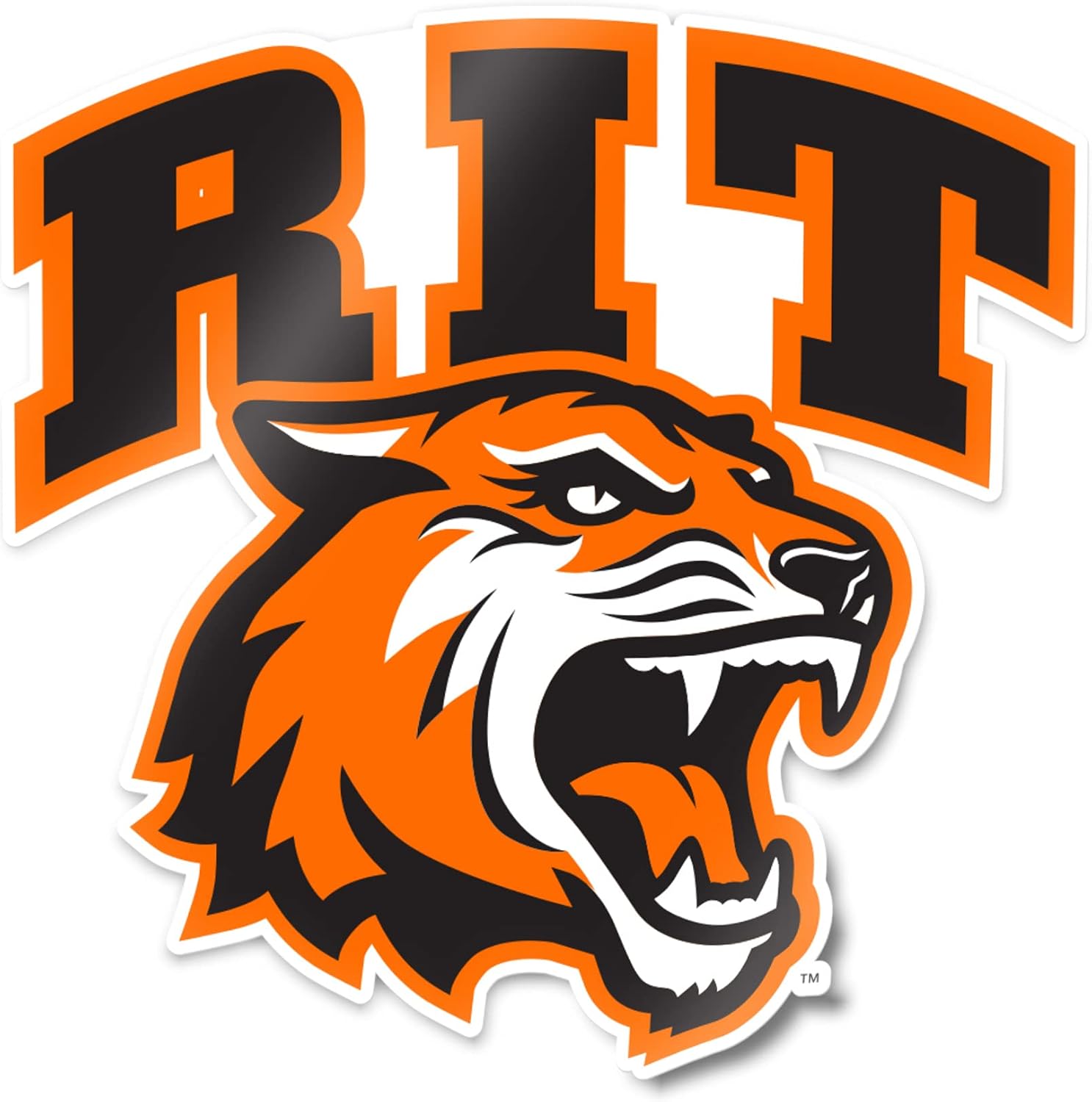 Amazon.com: Rochester Institute of Technology RIT Tigers Vinyl Decal ...
