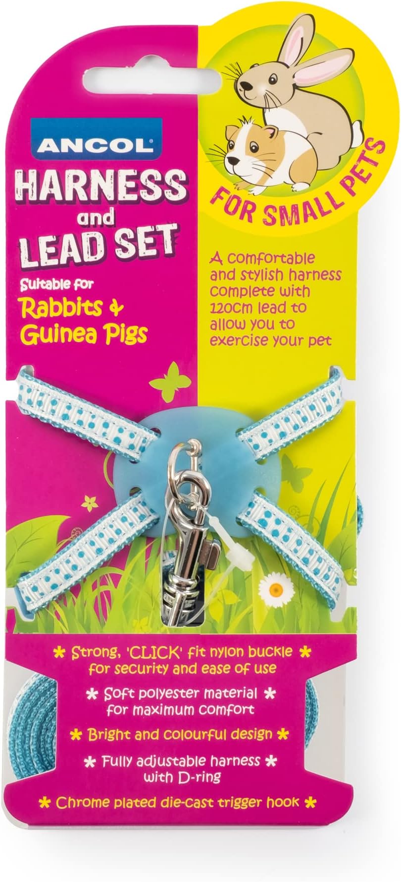 ICA DA972 Ferret Harness and Leash Set, Blue : Amazon.co.uk: Pet Supplies