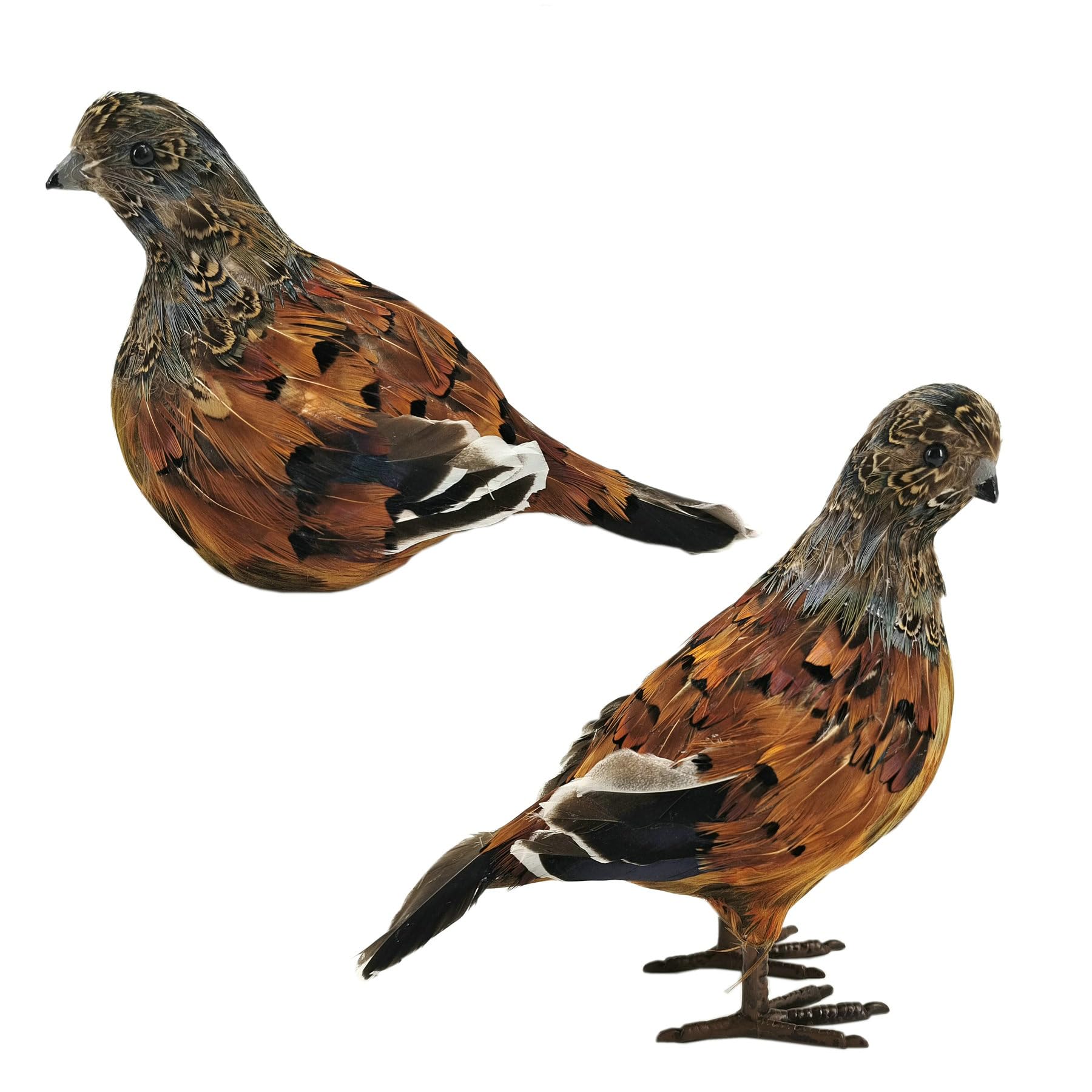 Amazon.com: Nature Vibe 7.5 Inches Feathered Quail Decor,Set of 2 ...