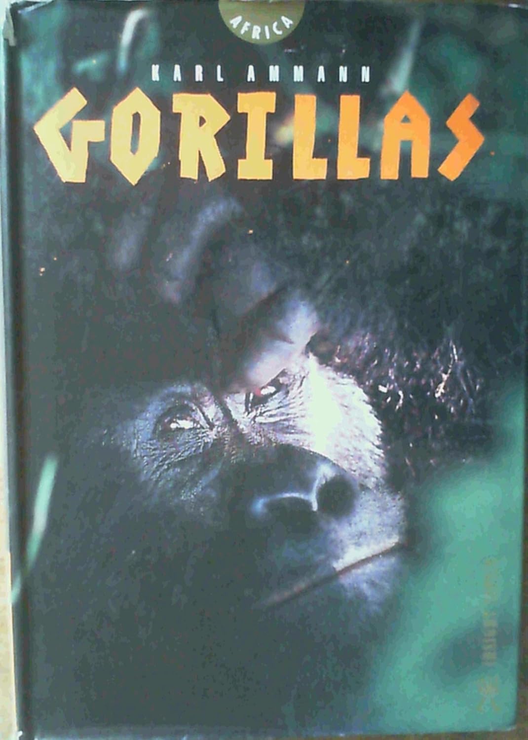 Gorillas (Insight Guides): Karl Ammann: 9781868126958: Amazon.com: Books
