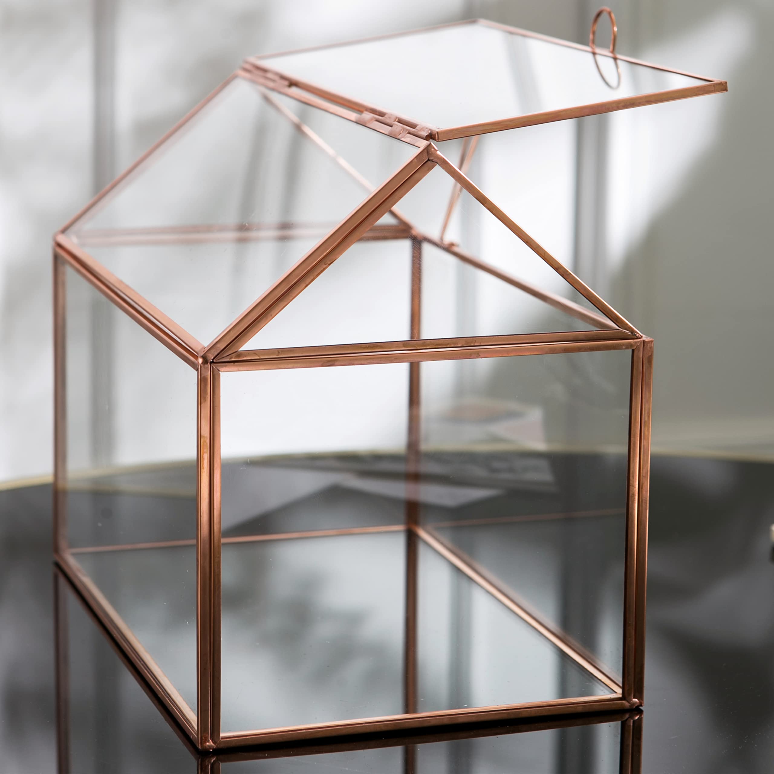 Glass Indoor Terrarium House for Foliage Succulent and Bonsai, DIY ...