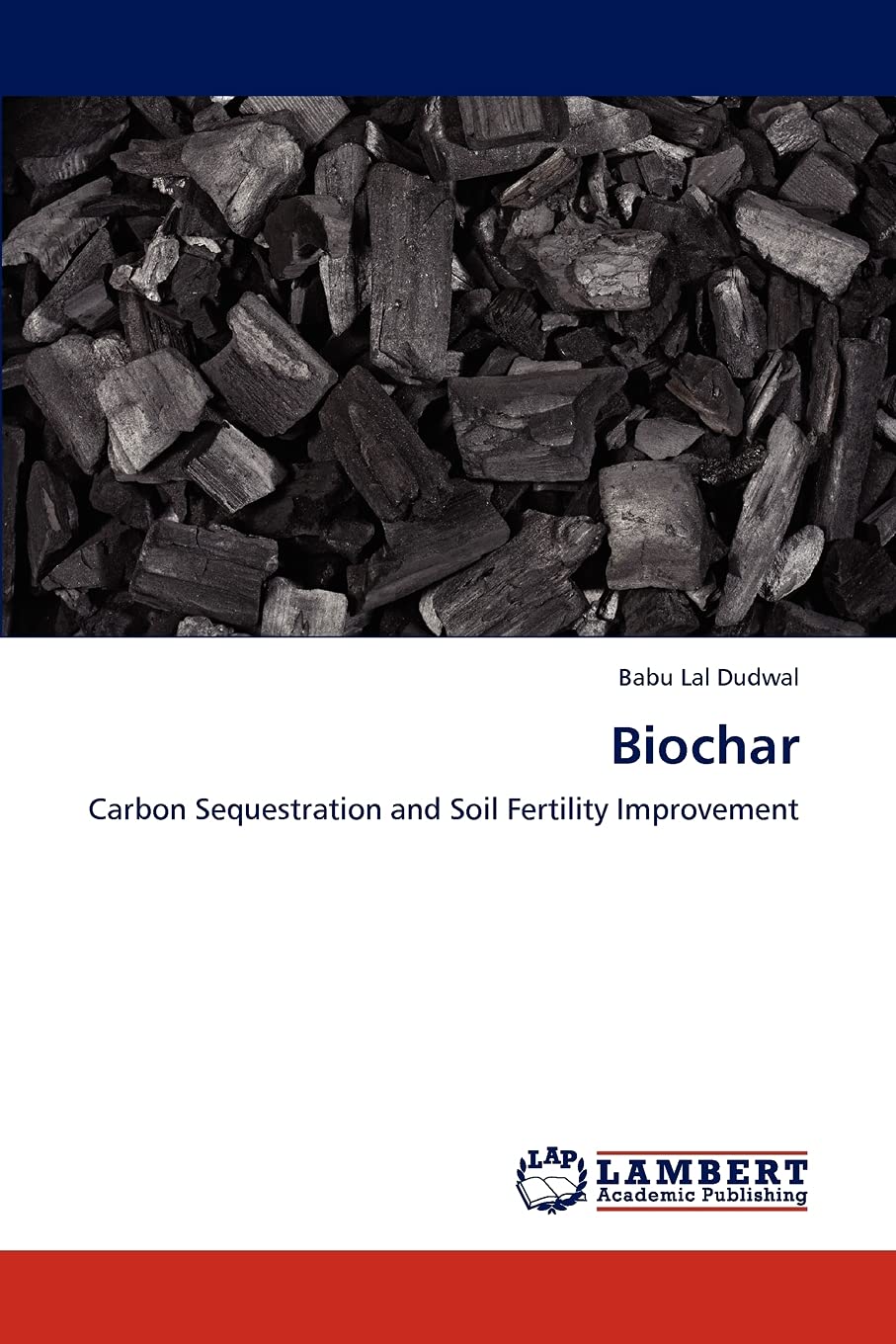 Biochar: Carbon Sequestration and Soil Fertility Improvement: Dudwal ...