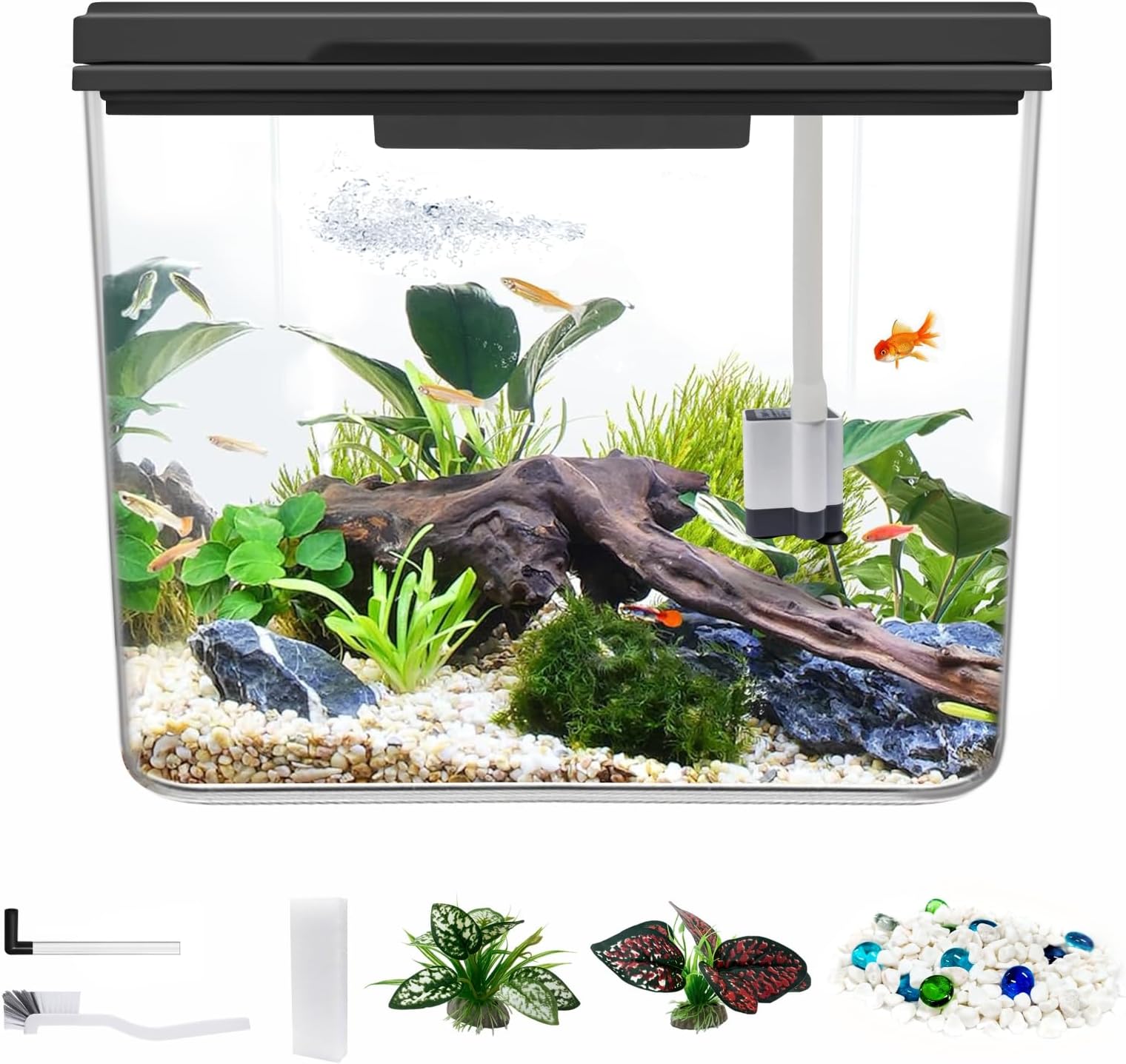 Amazon.com : Betta Fish Tank, 2 Gallon Glass Aquarium Starter Kit ...