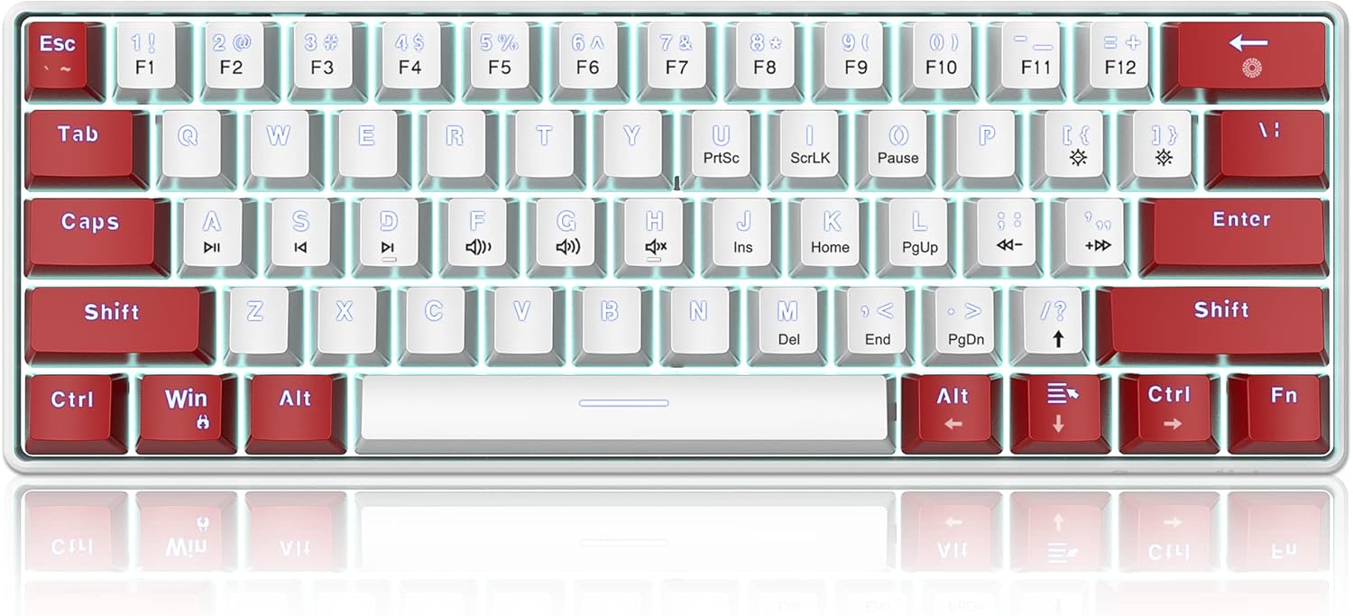 Amazon.com: Snpurdiri Wired 60% Mechanical Gaming Keyboard, White LED ...