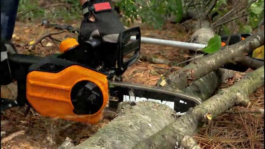 Watch WORX WG309 8 Amp 10" 2-in-1 Electric Pole Saw & Chainsaw with ...