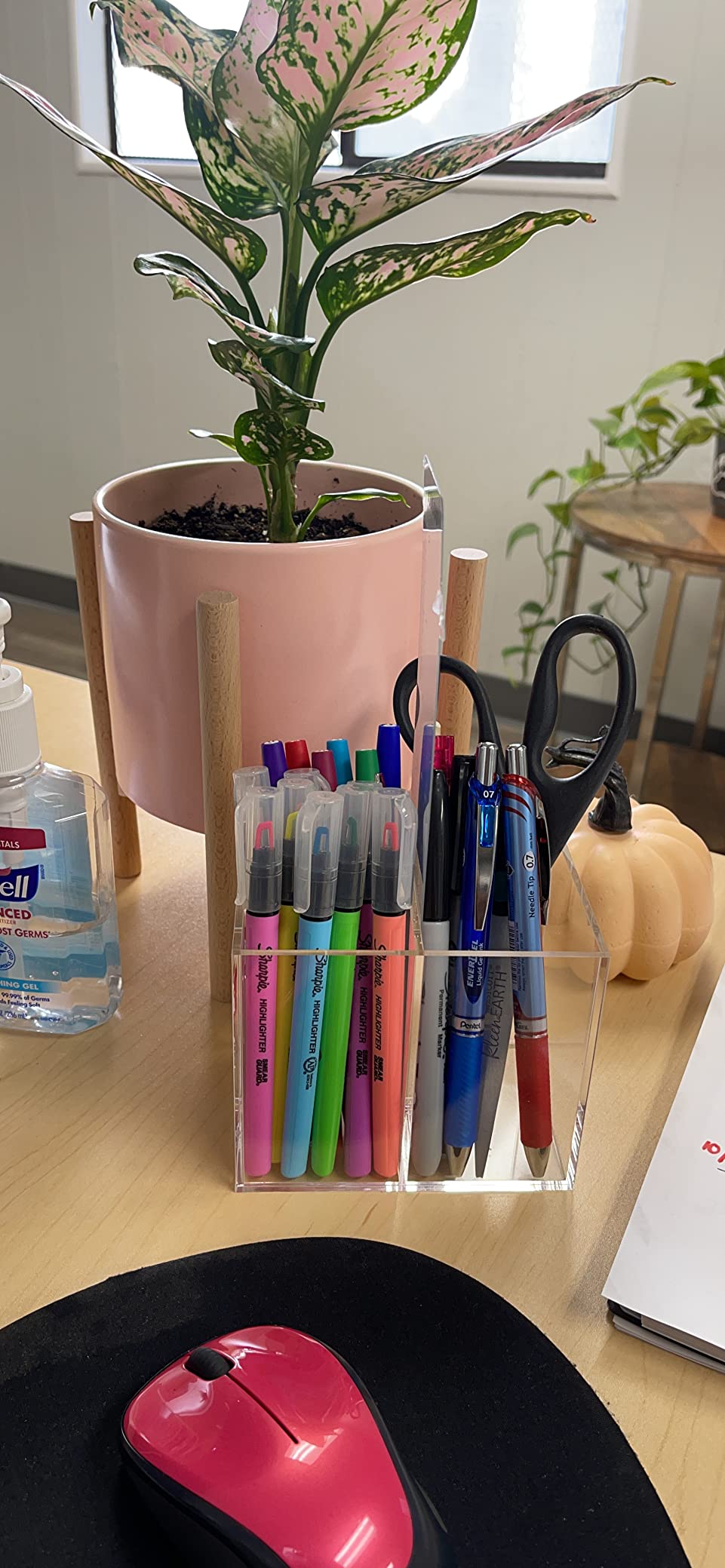 $3/mo - Finance NIUBEE Acrylic Pen Holder 4 Compartments, Clear Pencil ...
