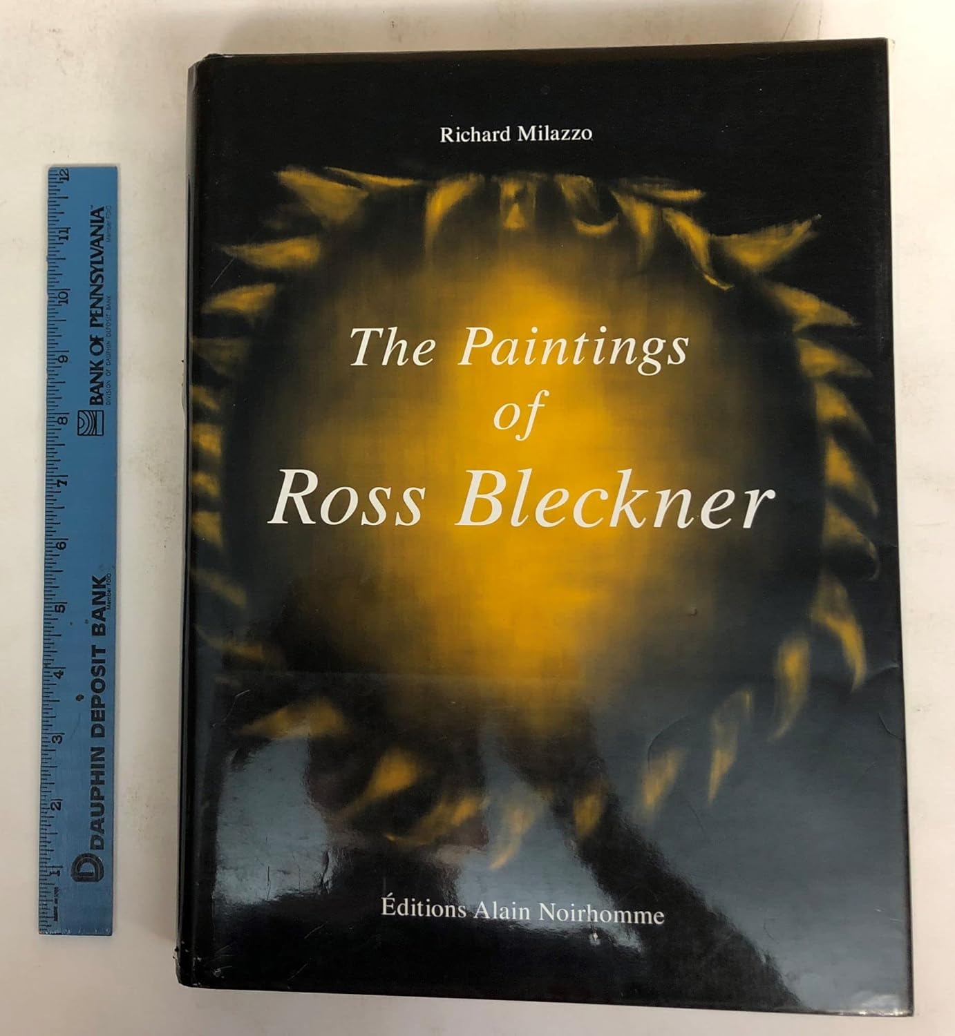 The Paintings of Ross Bleckner: Richard Milazzo: 9782930487014: Amazon ...