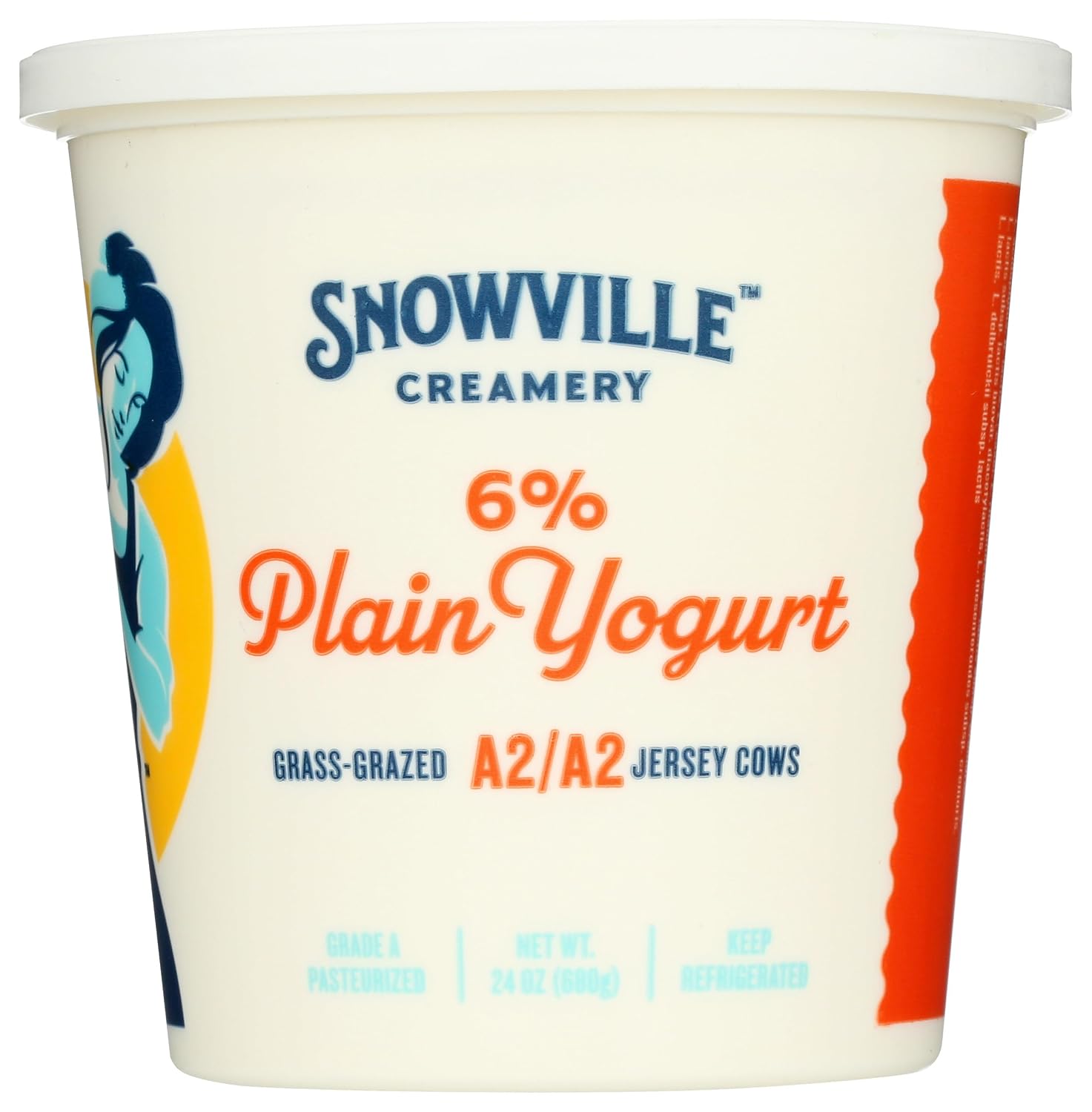 Amazon.com: SNOWVILLE CREAMERY Grass Fed 6% A2 Plain Yogurt, 24 OZ ...