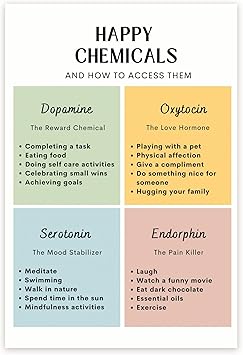 Amazon.com: Happy Chemicals Poster - Neurobiology- Dopamine Oxytocin ...