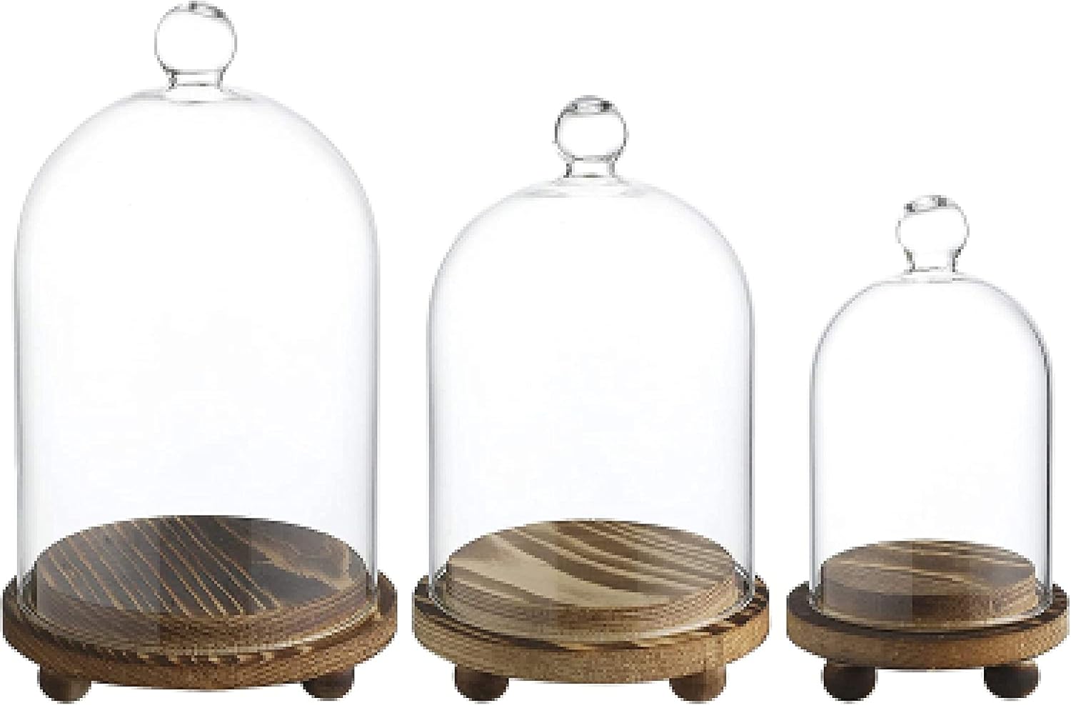 WHOLE HOUSEWARES | Mini Cloche Glass Dome With Wooden Base Set of 3 ...