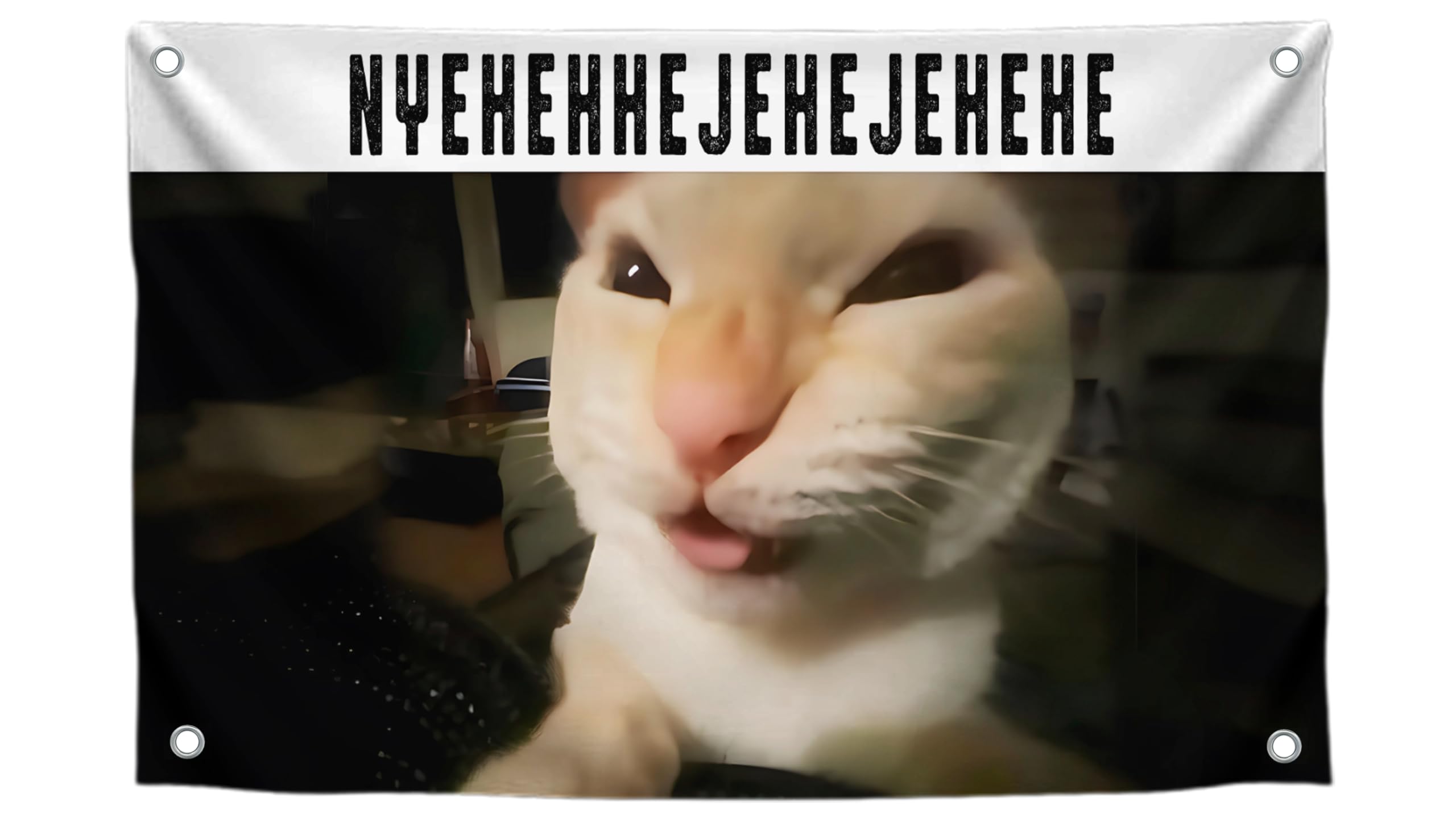 Beaver Cat Memes Good News For The Meowlitia, We'll Be Petty Besties