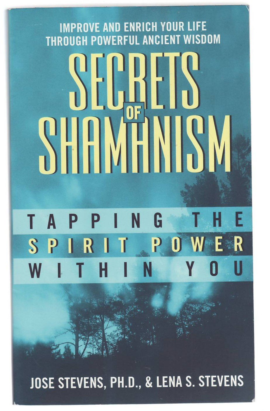 Secrets of Shamanism: Tapping the Spirit Power Within You – Easy ...