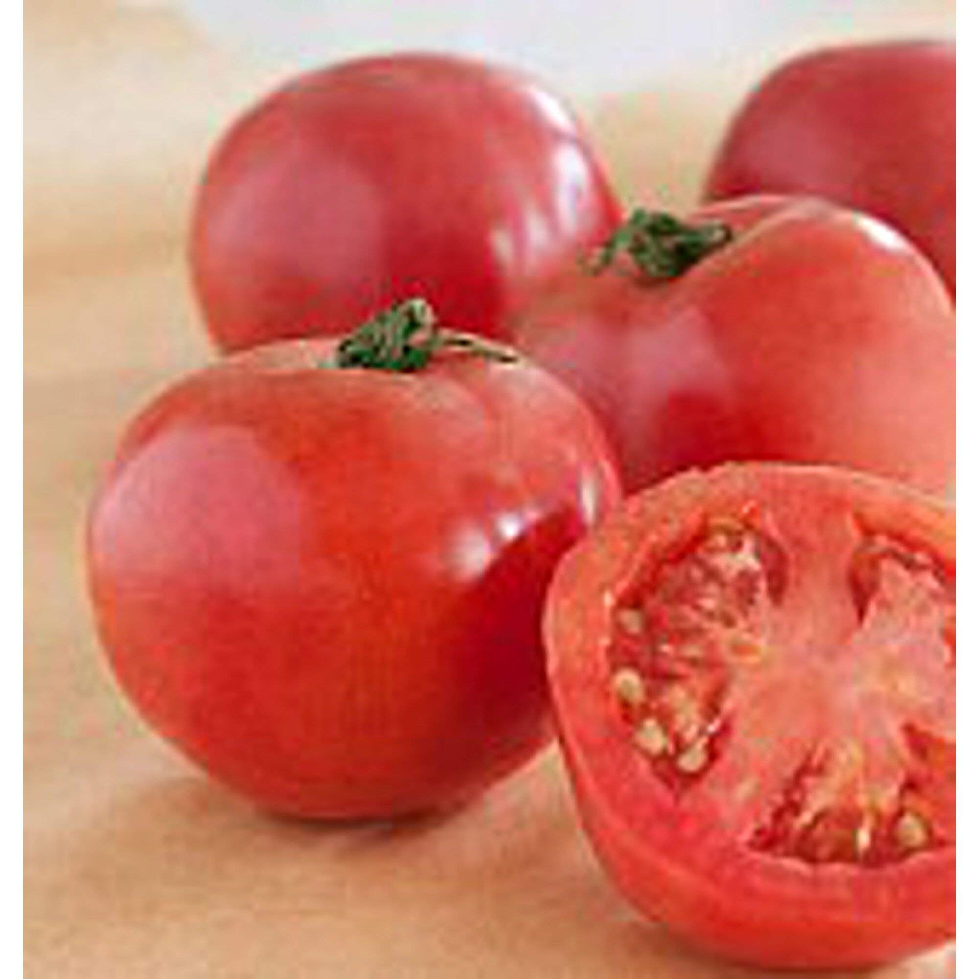 Arkansas Traveler Tomato Amazing Seeds Arkansas Traveller Tomato