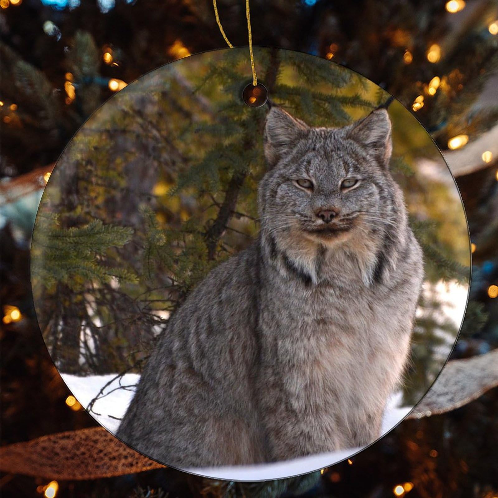 Lynx Christmas Memes 3 Weeks 'Til Christmas: 21 Holiday Memes To