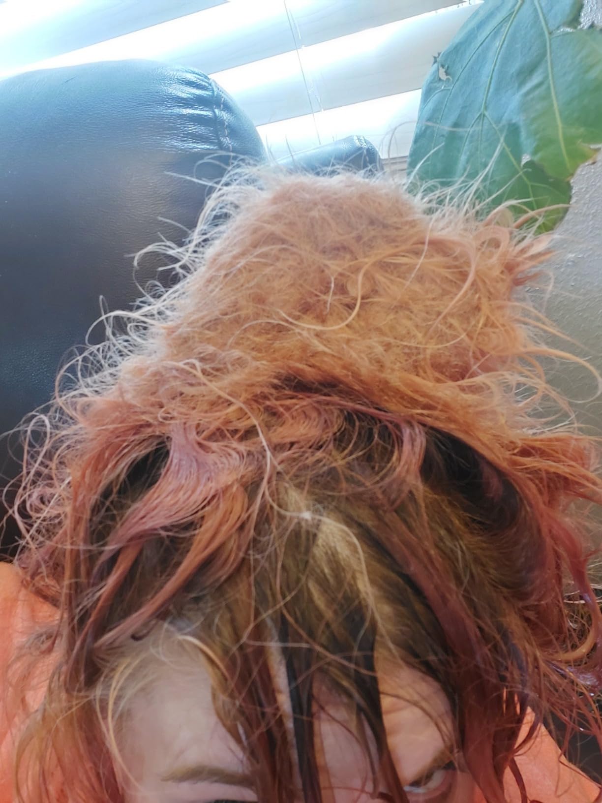 Amazon.com : Scruples Delete Permanent Hair Color Removal, 4 Ounce ...