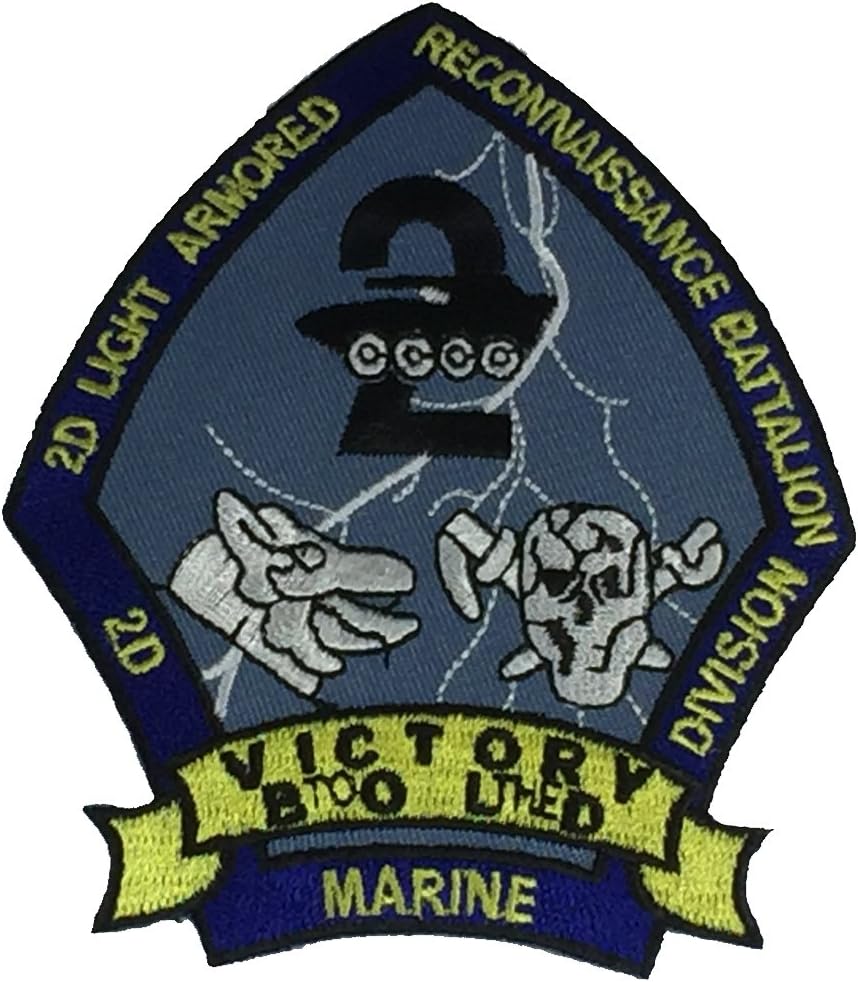 Amazon.com: USMC 2D Light Armored Reconnaissance Battalion Patch ...