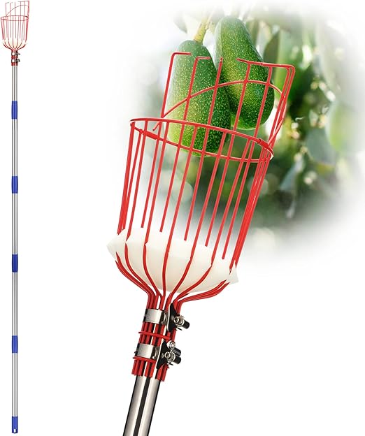 Amazon.com : DonSail Fruit Picker Pole Tool with Basket Telescoping ...
