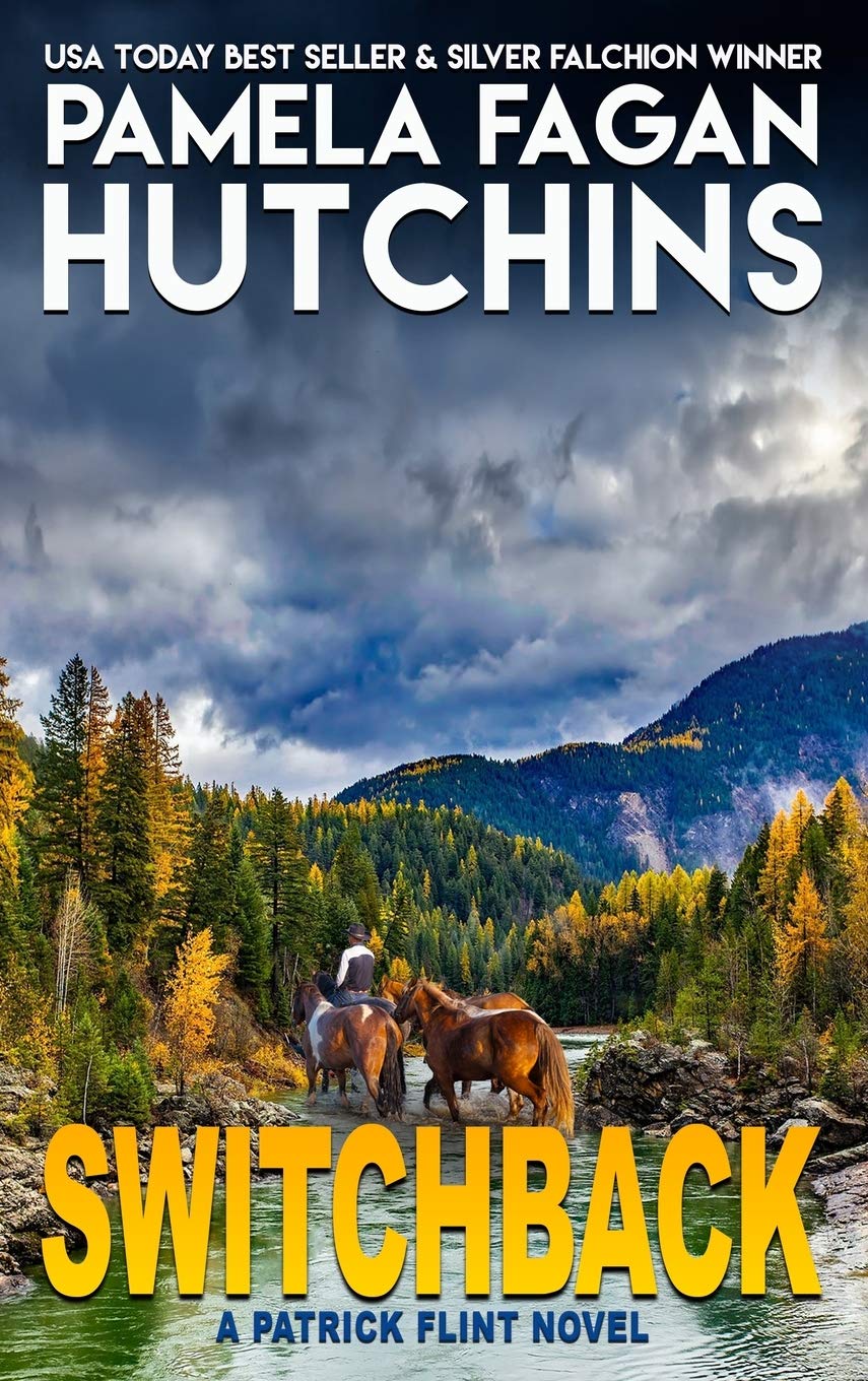 Switchback: A Patrick Flint Novel: Hutchins, Pamela Fagan ...