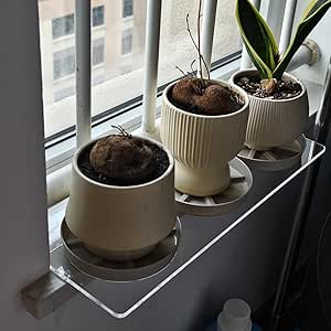 Amazon.com: Window Sill Extender for Plants, Minimalist Plastic ...