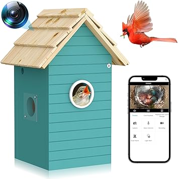Amazon.com: Smart Bird House with Camera, 3MP HD Wired Bird Nest Camera ...
