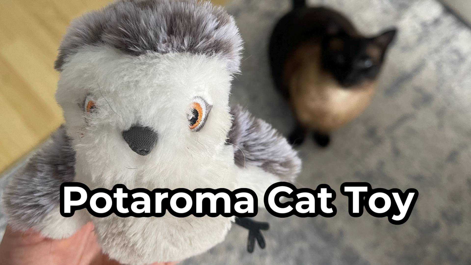 Watch In Hand Review of Potaroma Cat Toys Flapping Bird -No Flying on ...